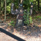 AOAA Green Trails Loop, Pennsylvania - 25 Reviews, Map | AllTrails