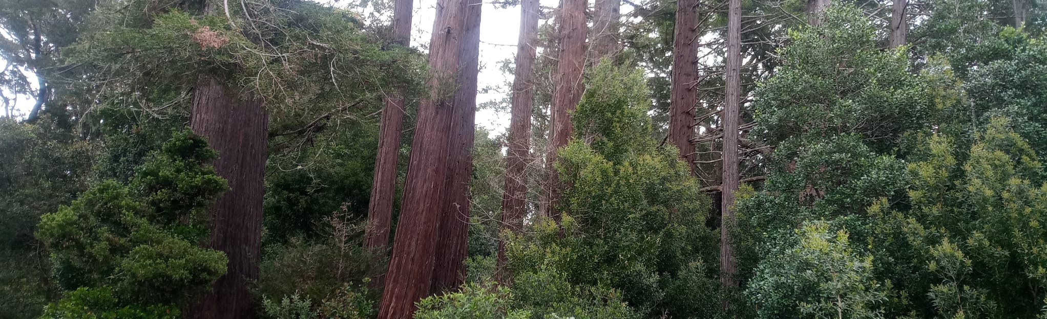 Harkerville Red Route Alt | Map, Guide - Western Cape, South Africa ...