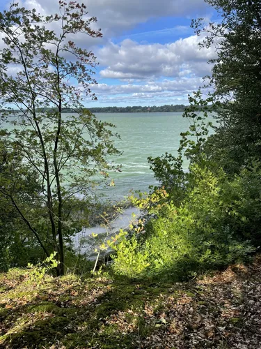 Best Bird Watching Trails in Store Dyrehave | AllTrails