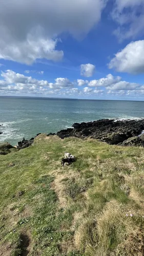 10 Best Hikes and Trails in North Devon Coast National Landscape (AONB ...