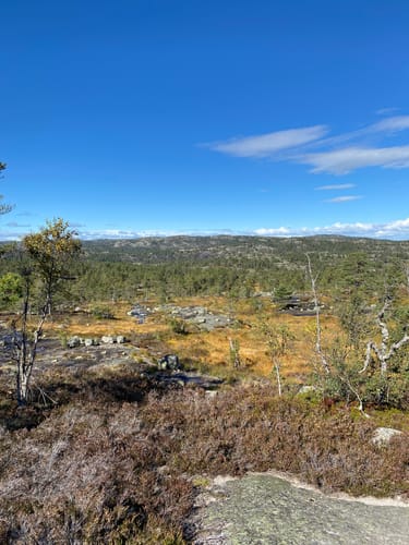 2023 Best Lake Trails in Solhomfjell and Kvenntjønnane Nature Reserve ...