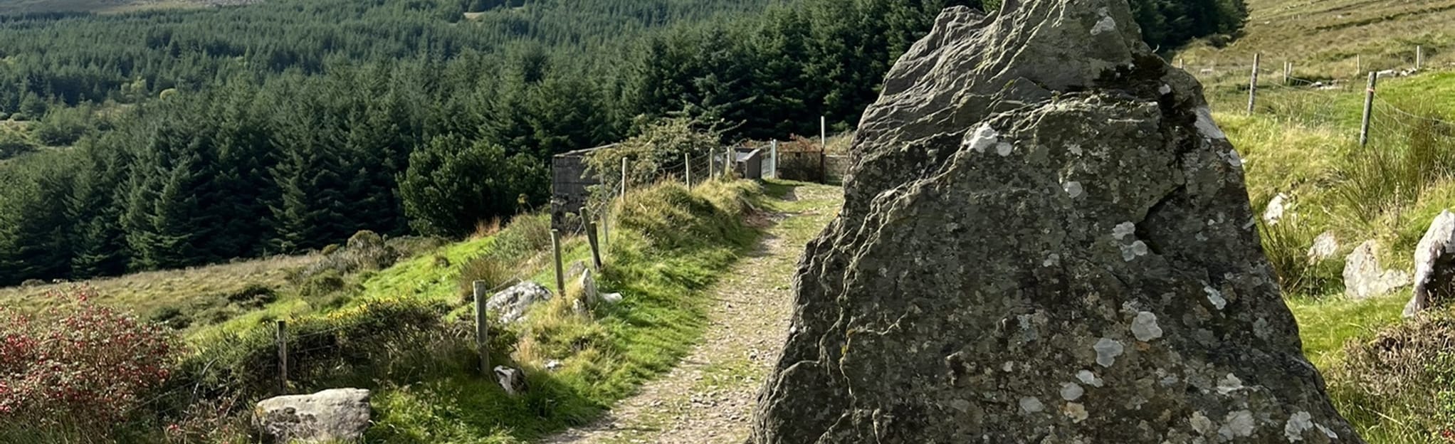 Conor Pass to Faha via Mount Brandon: 16 Reviews, Map - County Kerry ...