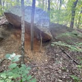 Upper Guild Trail, Tennessee - 481 Reviews, Map | AllTrails