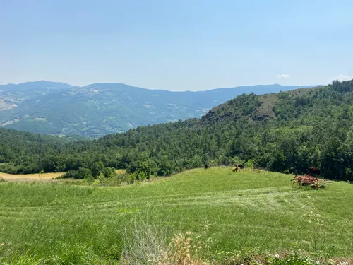 Best Hikes and Trails in Coli | AllTrails