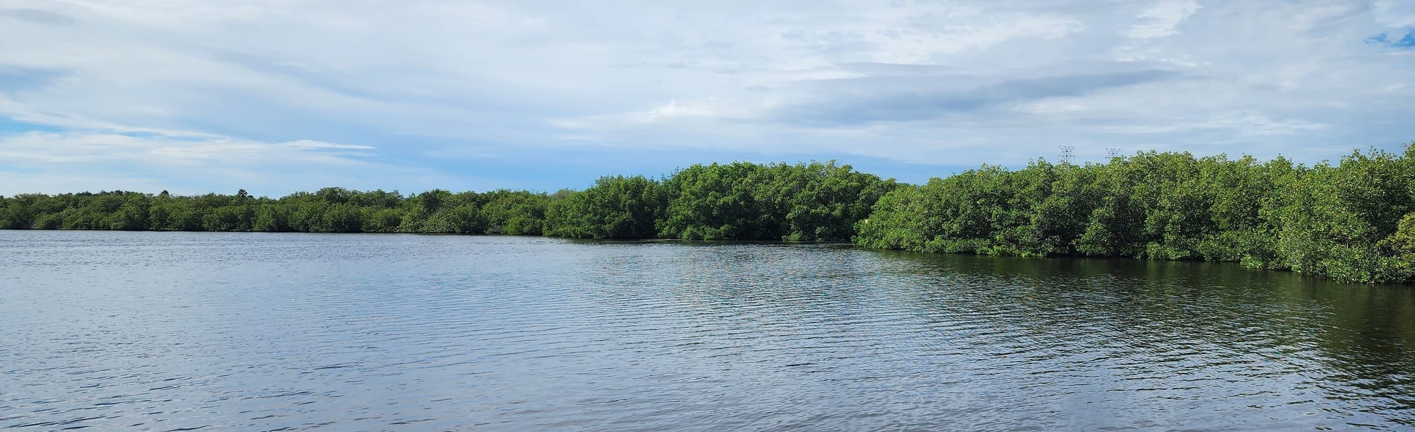 Bicentennial Park via Oldmars Trail, Florida - 19 Reviews, Map | AllTrails