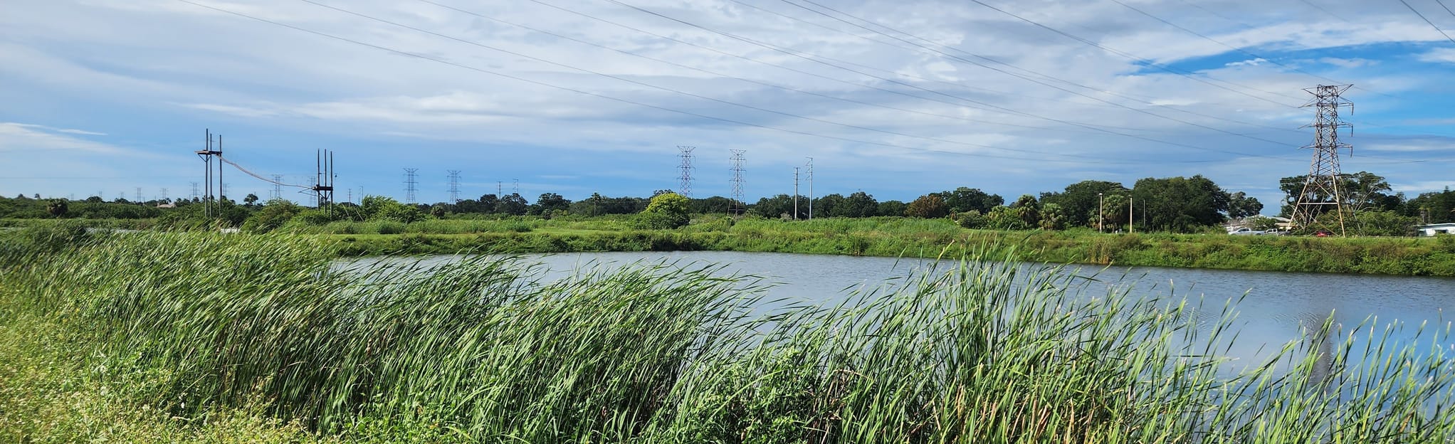 Oldsmar Trail: 115 Reviews, Map - Florida | AllTrails