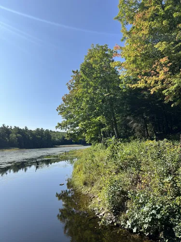 Best Hikes and Trails in Nipmuck State Forest | AllTrails