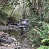 Lough Eske Nature Loop, County Donegal, Ireland - 137 Reviews, Map ...