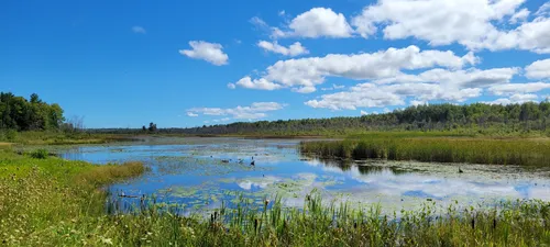 10 Best Hikes and Trails in Wilderness State Park | AllTrails
