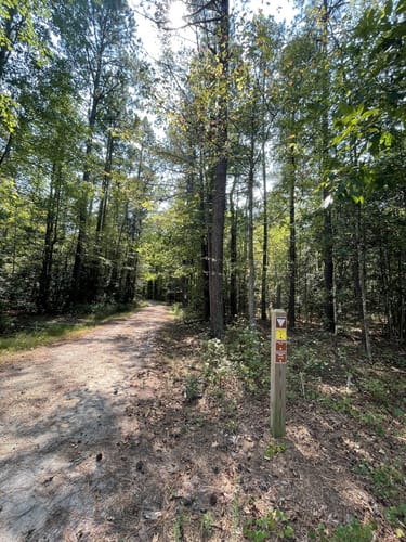 2023 Best 10 Trails and Hikes in Chesterfield County | AllTrails