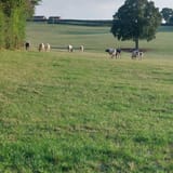 Kempley to Dymock Circular, Gloucestershire, England - 19 Reviews, Map ...