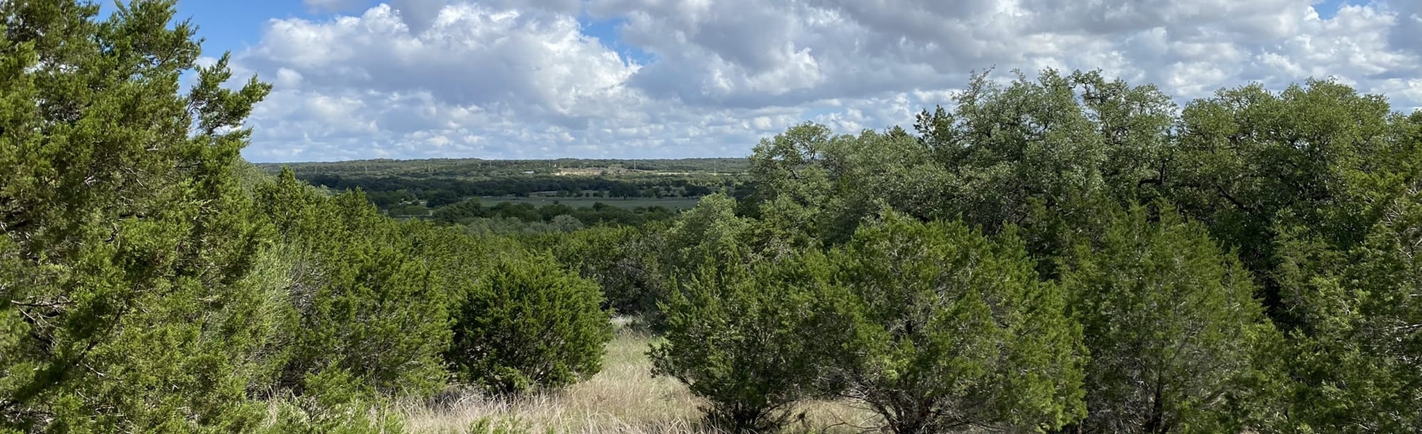 Roadrunner and Centipede Loop, Texas - 161 Reviews, Map | AllTrails