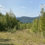 Shavertown Trail, New York - 275 Reviews, Map | AllTrails
