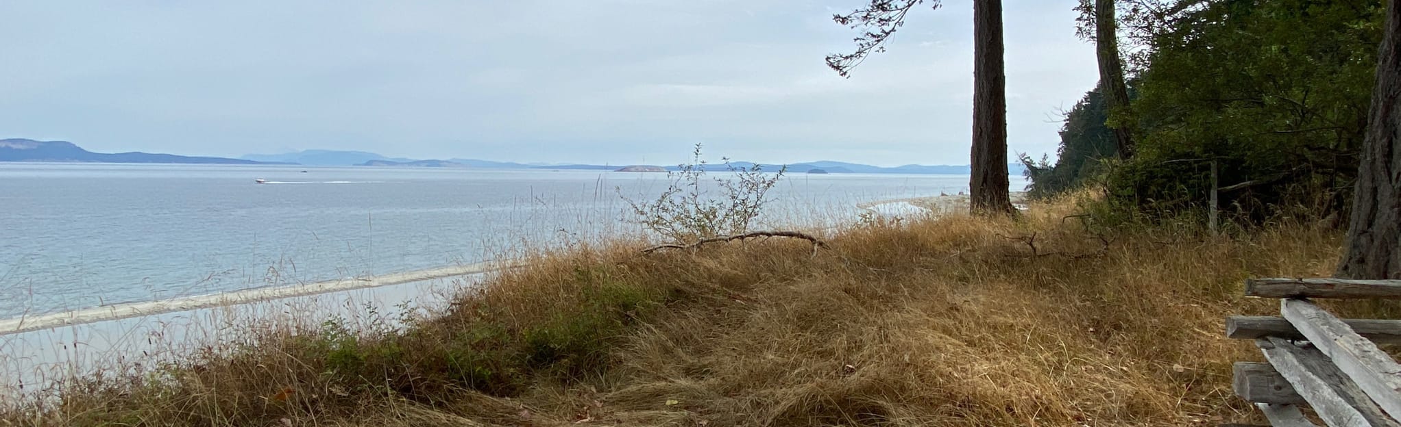 Sidney Spit and Lagoon Trail: 27 Reviews, Map - British Columbia ...