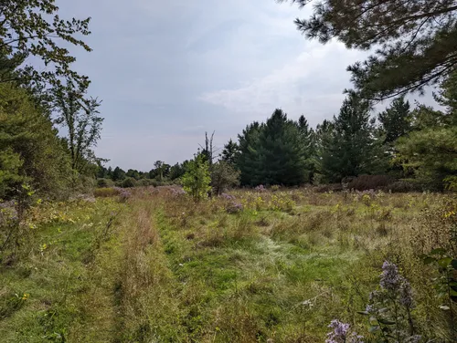 Best Hikes and Trails in Carleton Place | AllTrails