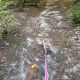 Monson Community Loop, New Hampshire - 268 Reviews, Map | AllTrails