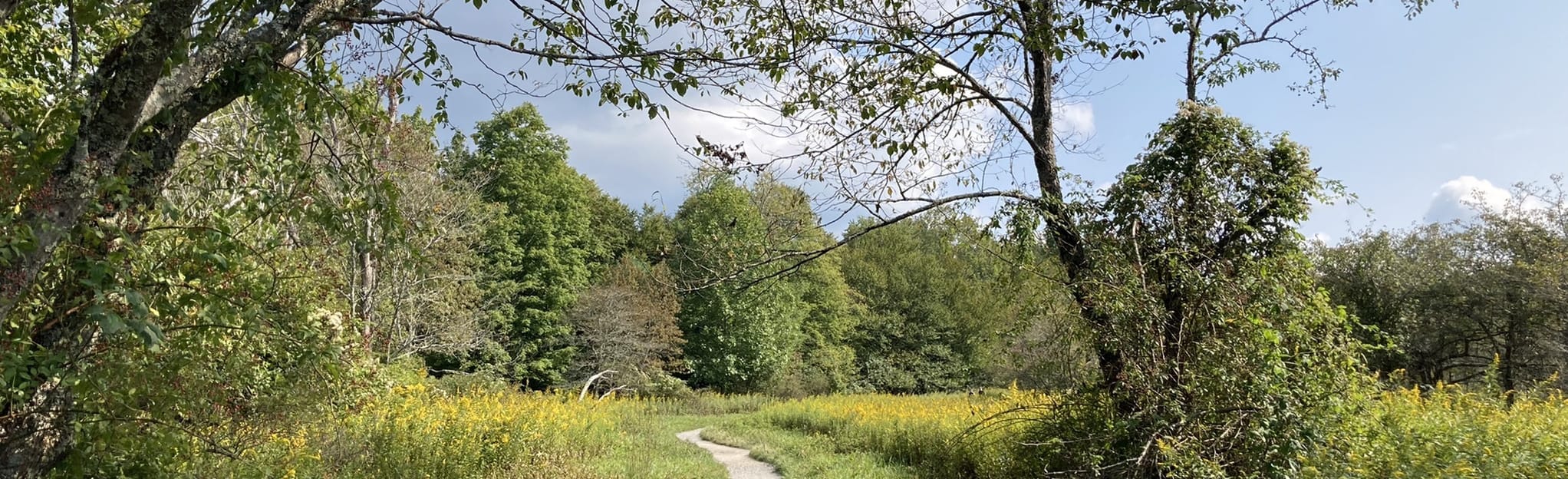 Hebron Falls via Boone Fork Trail: 976 Reviews, Map - North Carolina ...