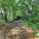Winchell Trail, Minnesota - 520 Reviews, Map | AllTrails