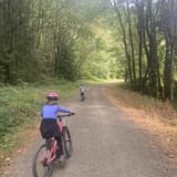 High Point Trail, Washington - 214 Reviews, Map | AllTrails