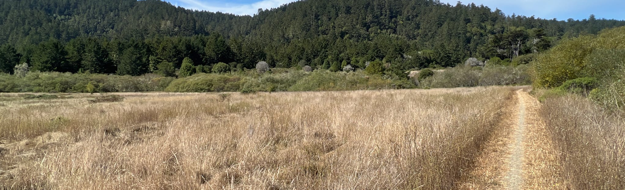 Randall, Bolinas Ridge, McCurdy, Olema Valley Trail: 92 Reviews, Map ...