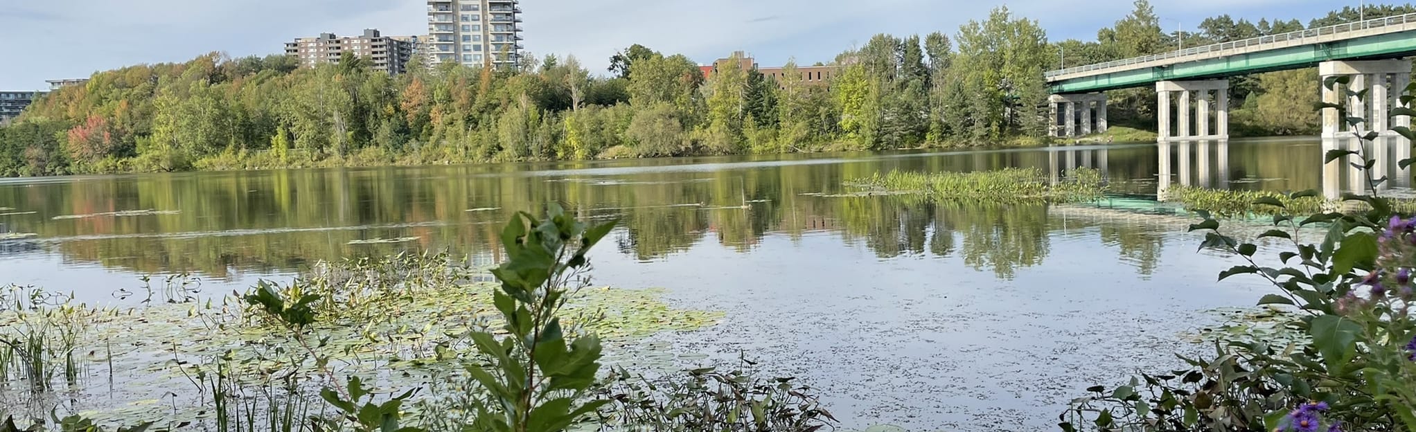 Riviere Magog Loop: 179 Reviews, Map - Quebec, Canada | AllTrails