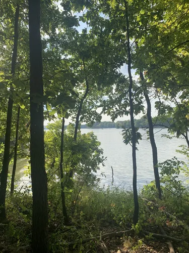 Best Lake Trails in Jacksonville | AllTrails