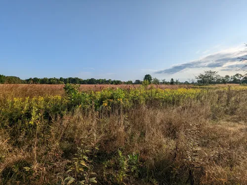 10 Best Hikes and Trails in Kickapoo State Park | AllTrails