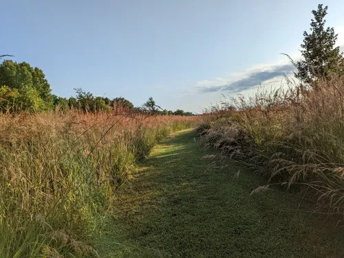 10 Best Hikes and Trails in Kickapoo State Park | AllTrails