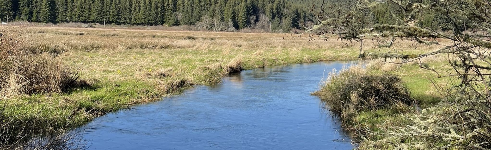 Beaver Creek Loop Trail : 129 Reviews, Map - Oregon | AllTrails