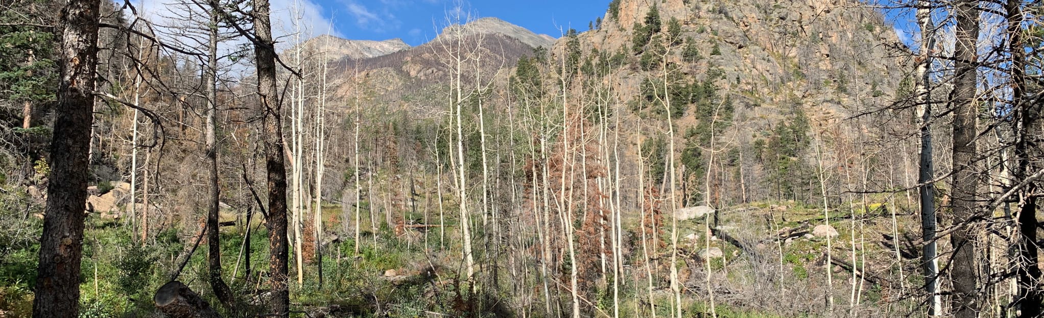 Fern Falls via Fern Lake Trailhead - Colorado | AllTrails