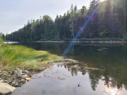 10 Best Trails and Hikes in Rossland | AllTrails