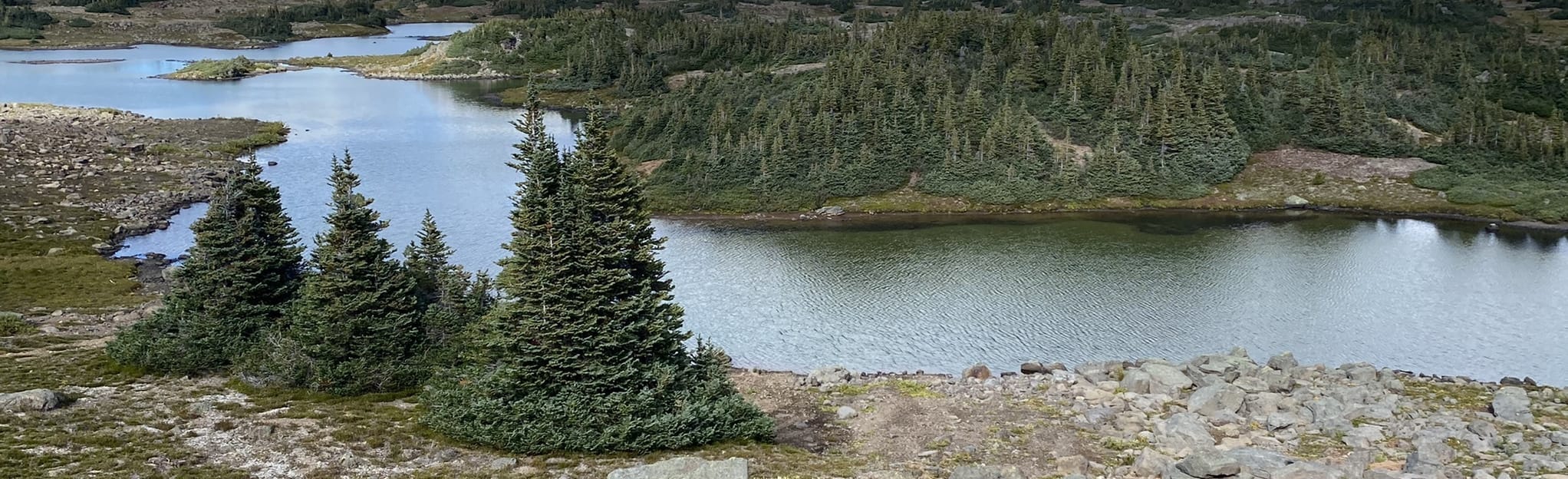 Rainbow Range Trail, British Columbia, Canada - 53 Reviews, Map | AllTrails