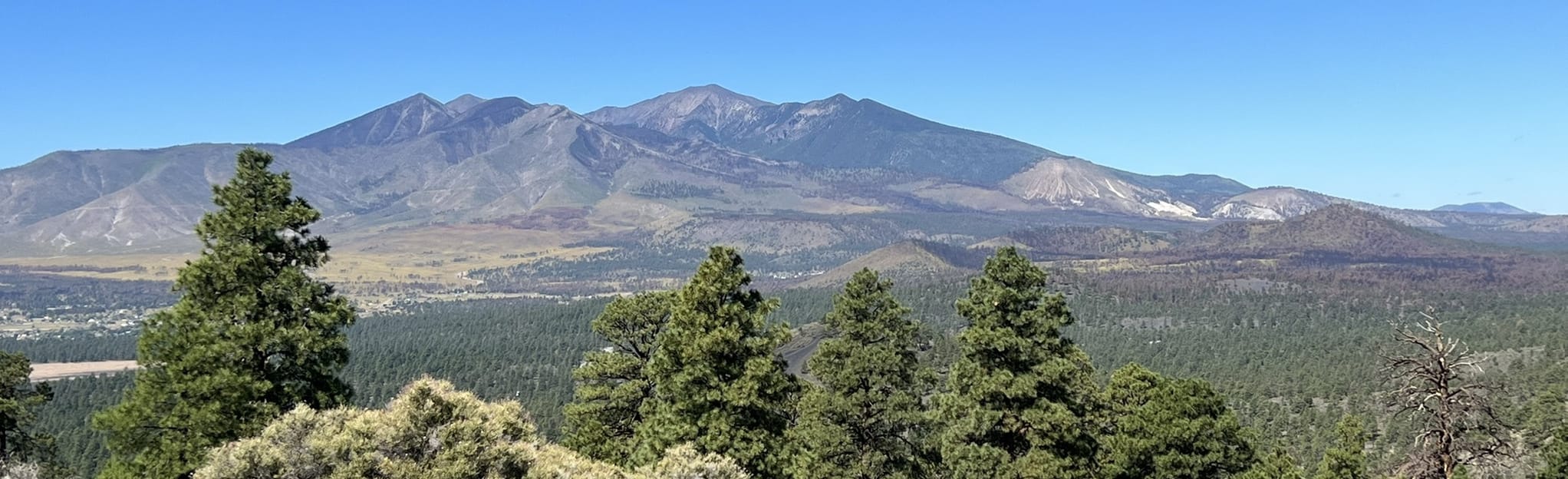 Cinders Hill OHV Super Loop - Arizona | AllTrails