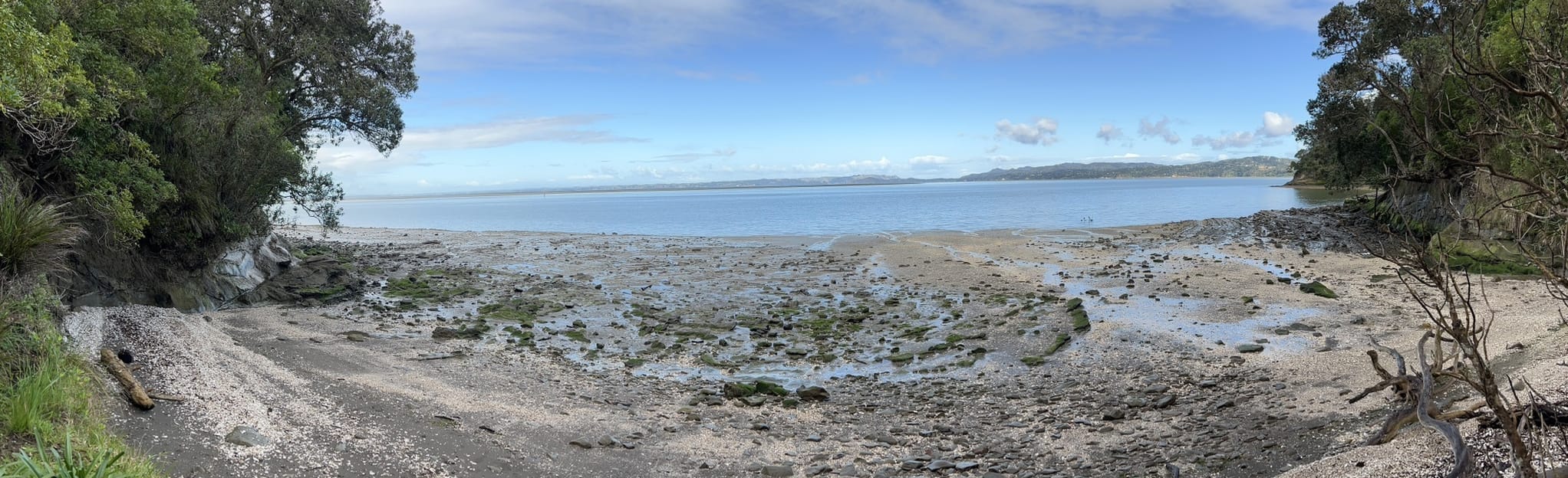 Manukau Domain Path, Auckland, New Zealand - 8 Reviews, Map | AllTrails