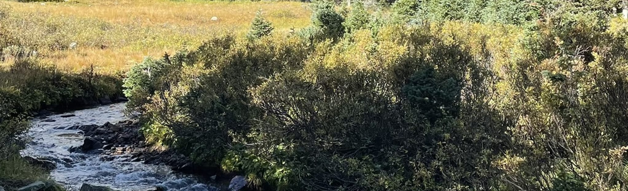 Jean Lunning Trail: 1703 Reviews, Map - Colorado | AllTrails