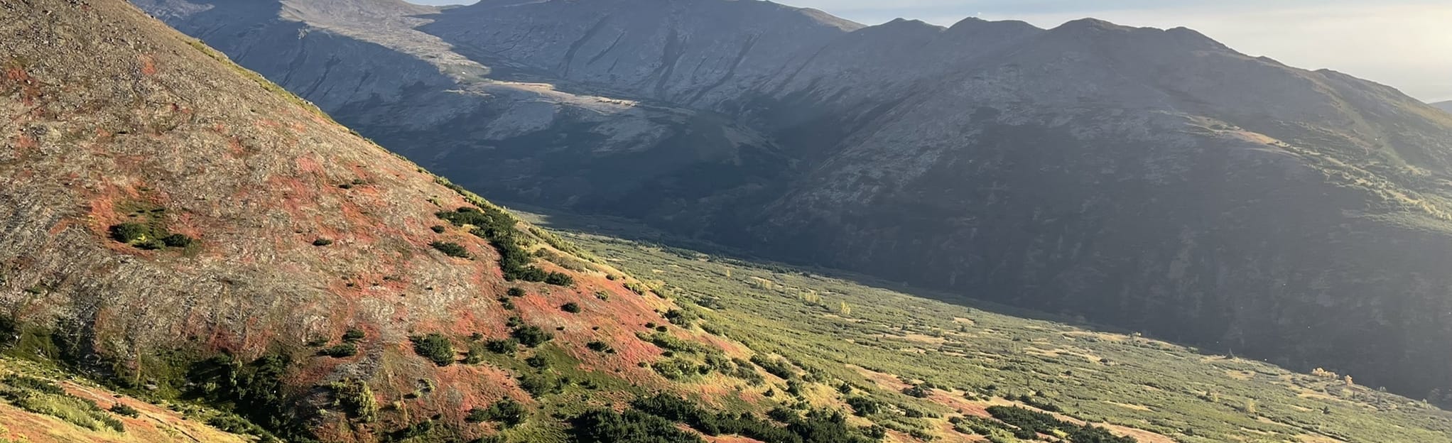 Flattop Sunnyside Trail: 1327 Reviews, Map - Alaska | AllTrails