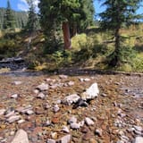 Schofield Pass OHV Trail, Colorado - 61 Reviews, Map | AllTrails