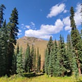 Schofield Pass OHV Trail, Colorado - 61 Reviews, Map | AllTrails