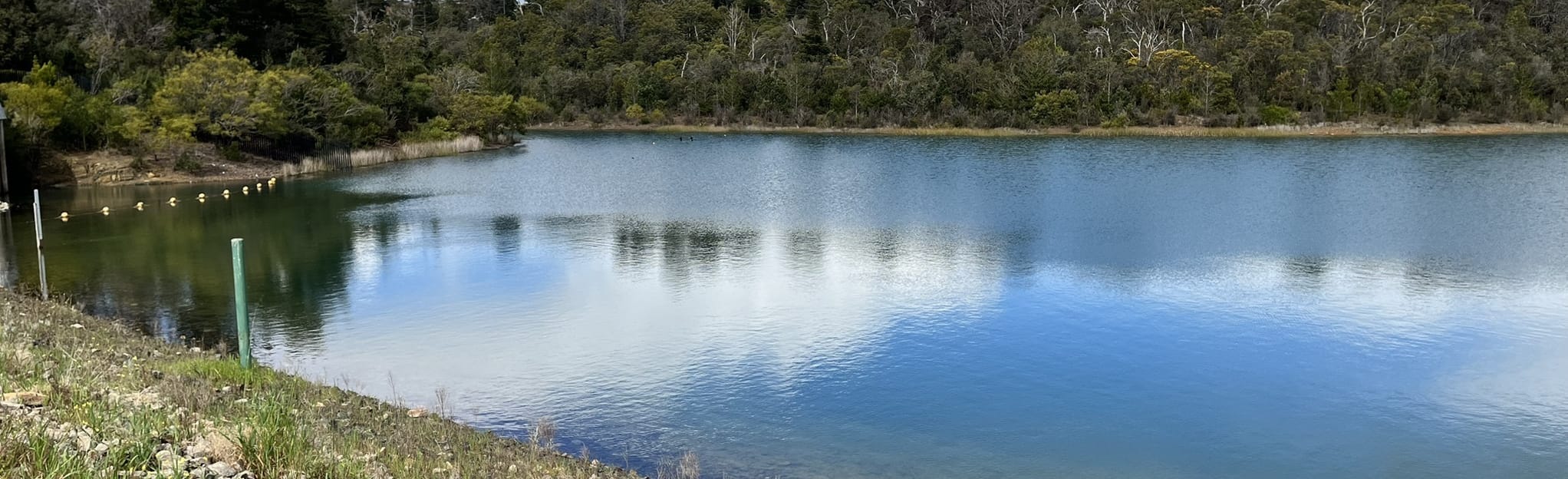 Dam Wall and Heathland Bush Circuit, Victoria, Australia - 6 Reviews ...