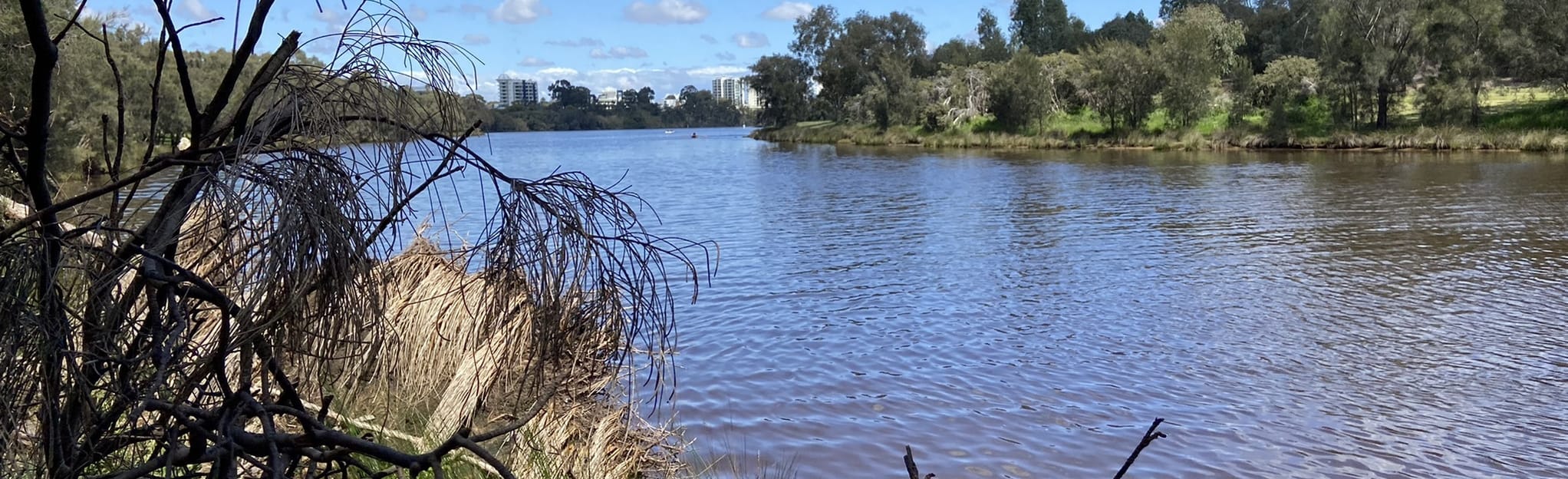 Swan River Foreshore Walk - Western Australia, Australia | AllTrails