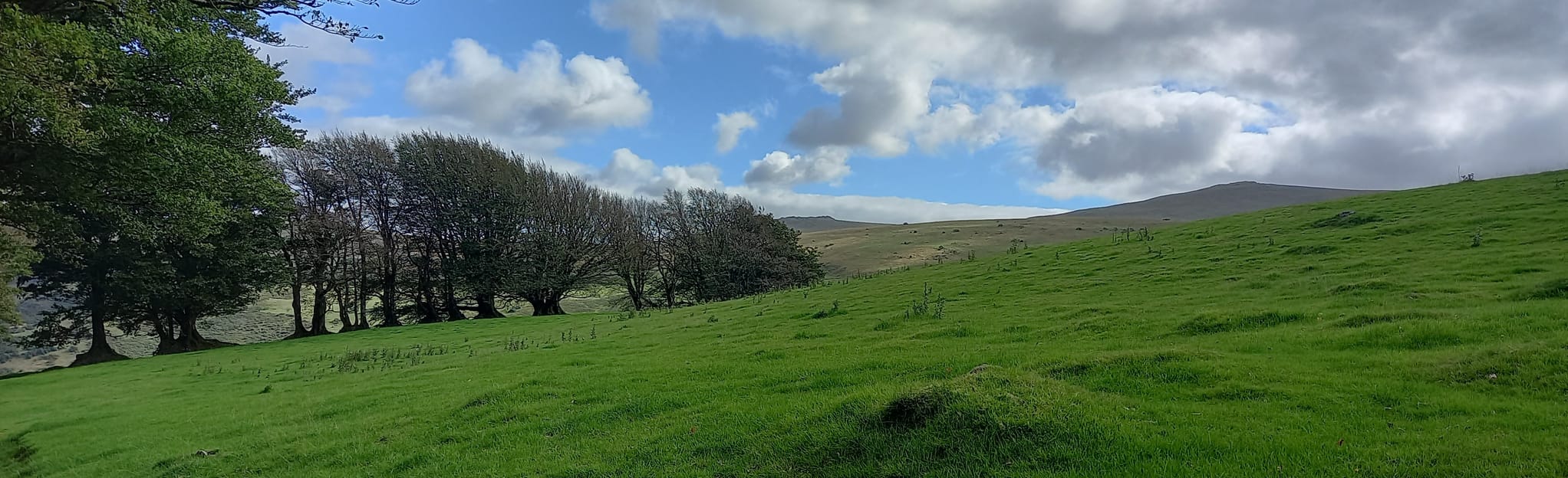 The Meldon Viaduct Circuit: 3 Reviews, Map - Devon, England | AllTrails
