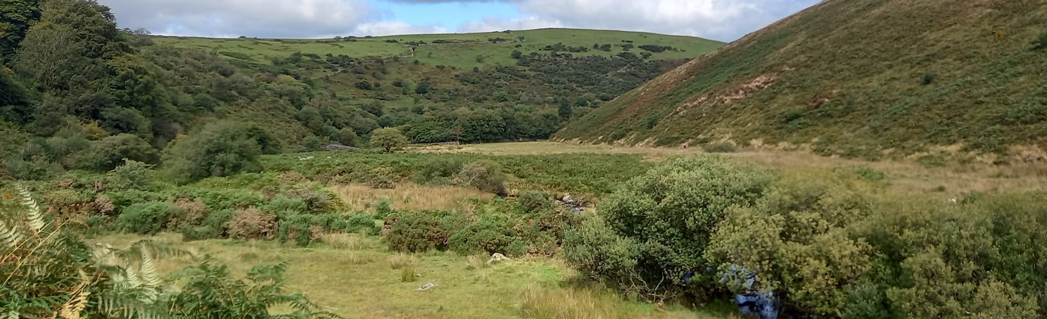 Sourton and Meldon Reservoir Circular - Devon, England | AllTrails