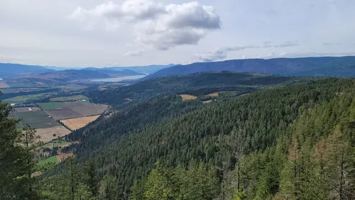 Best Forest Trails in Spallumcheen | AllTrails