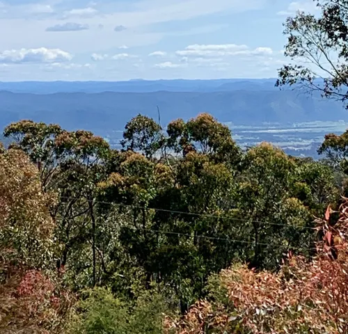 2023 Best Walking Trails in Pokolbin | AllTrails