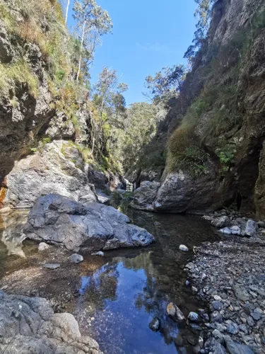 10 Best Hikes and Trails in D’Aguilar National Park | AllTrails