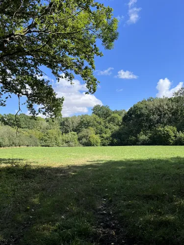 Best Hikes and Trails in Lower Woods Nature Reserve | AllTrails