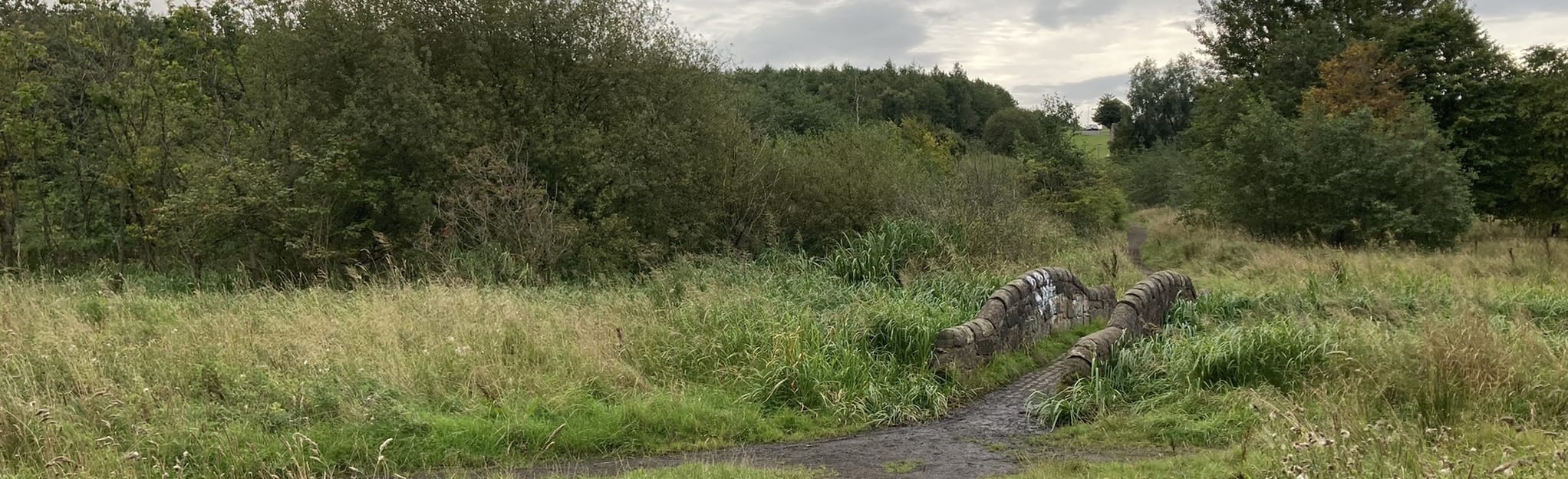 Cardowan Moss Circular: 7 Reviews, Map - Glasgow, Scotland | AllTrails