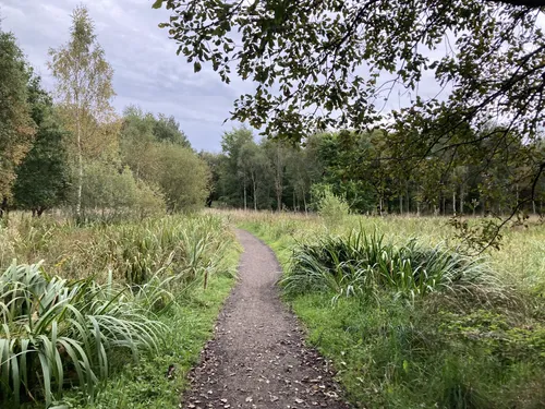 Best Hikes and Trails in Cardowan Moss Local Nature Reserve | AllTrails