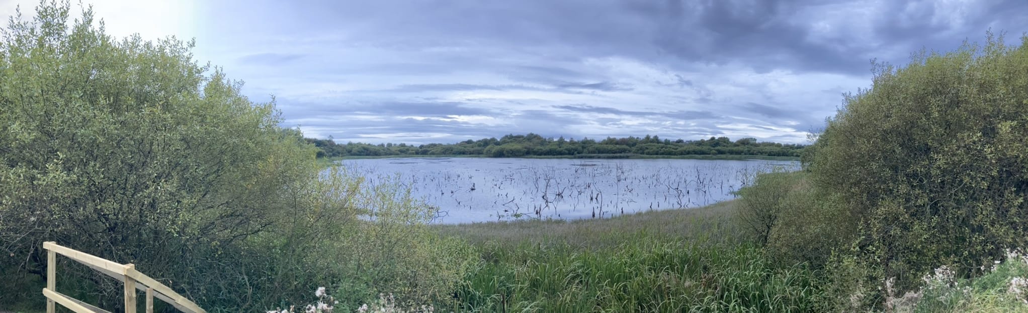 Cardowan Moss Local Nature Reserve Circular, Glasgow City, Scotland ...