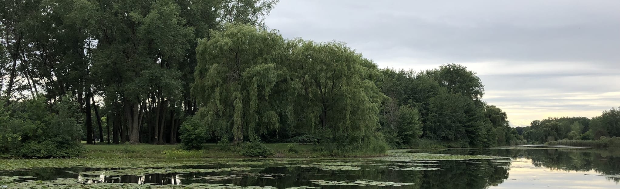 Angrignon Park Loop, Quebec, Canada - 44 Reviews, Map | AllTrails